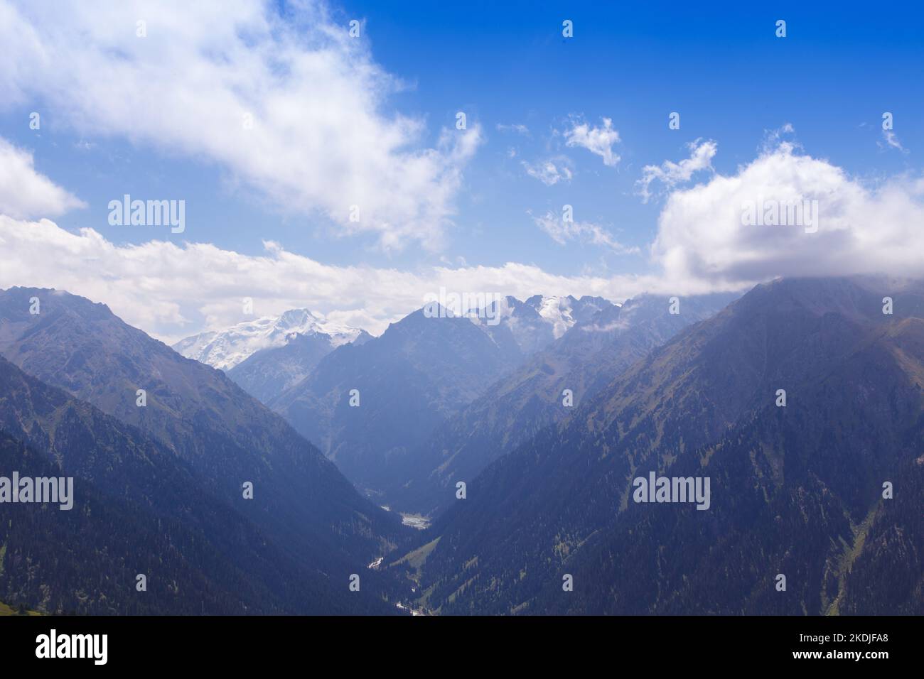 Mountain summer landscape. Snowy mountains and green grass. Peak ...