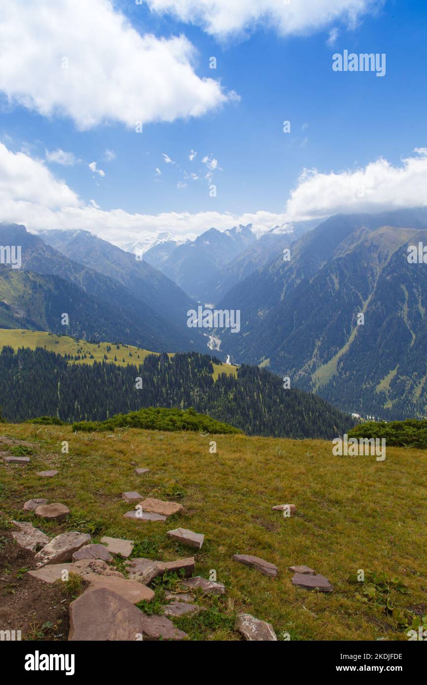 Mountain summer landscape. Snowy mountains and green grass. Peak ...