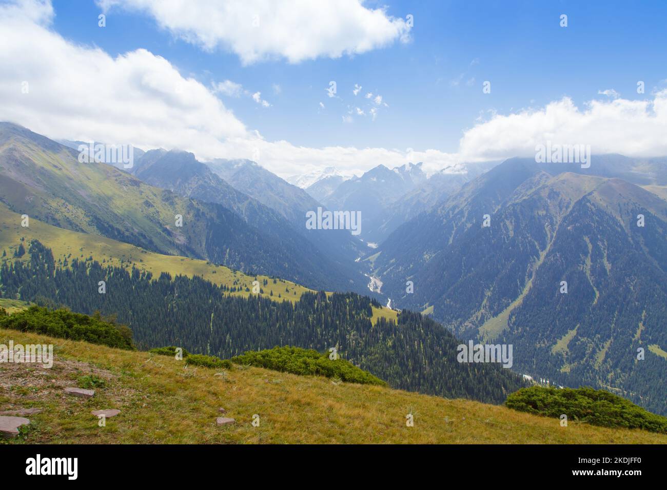 Mountain summer landscape. Snowy mountains and green grass. Peak ...