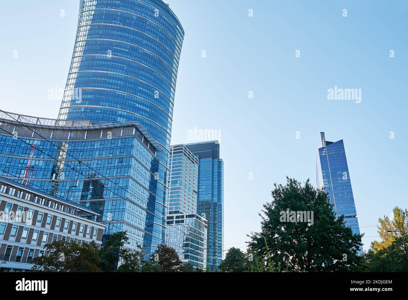 Modern city architecture, Skyscraper glass facade with green tree ...