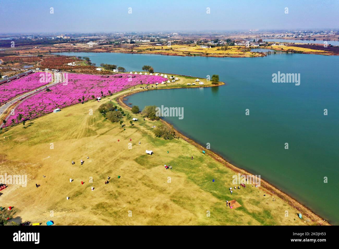 Aerial photos show the Gesang flowers of the beginning of winter in the ...