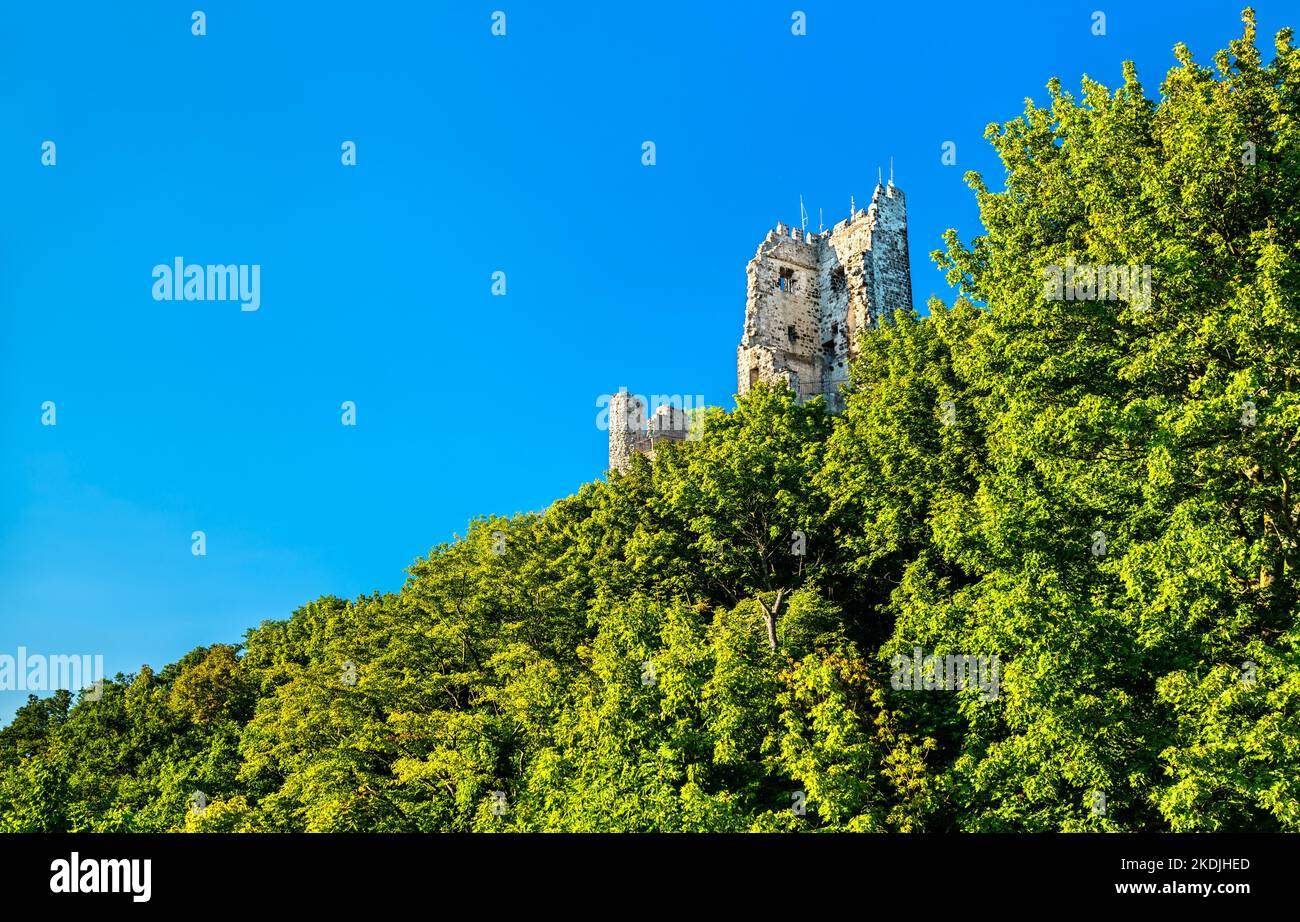 Ruins of Drachenburg Castle in Koenigswinter above the Rhine river in ...