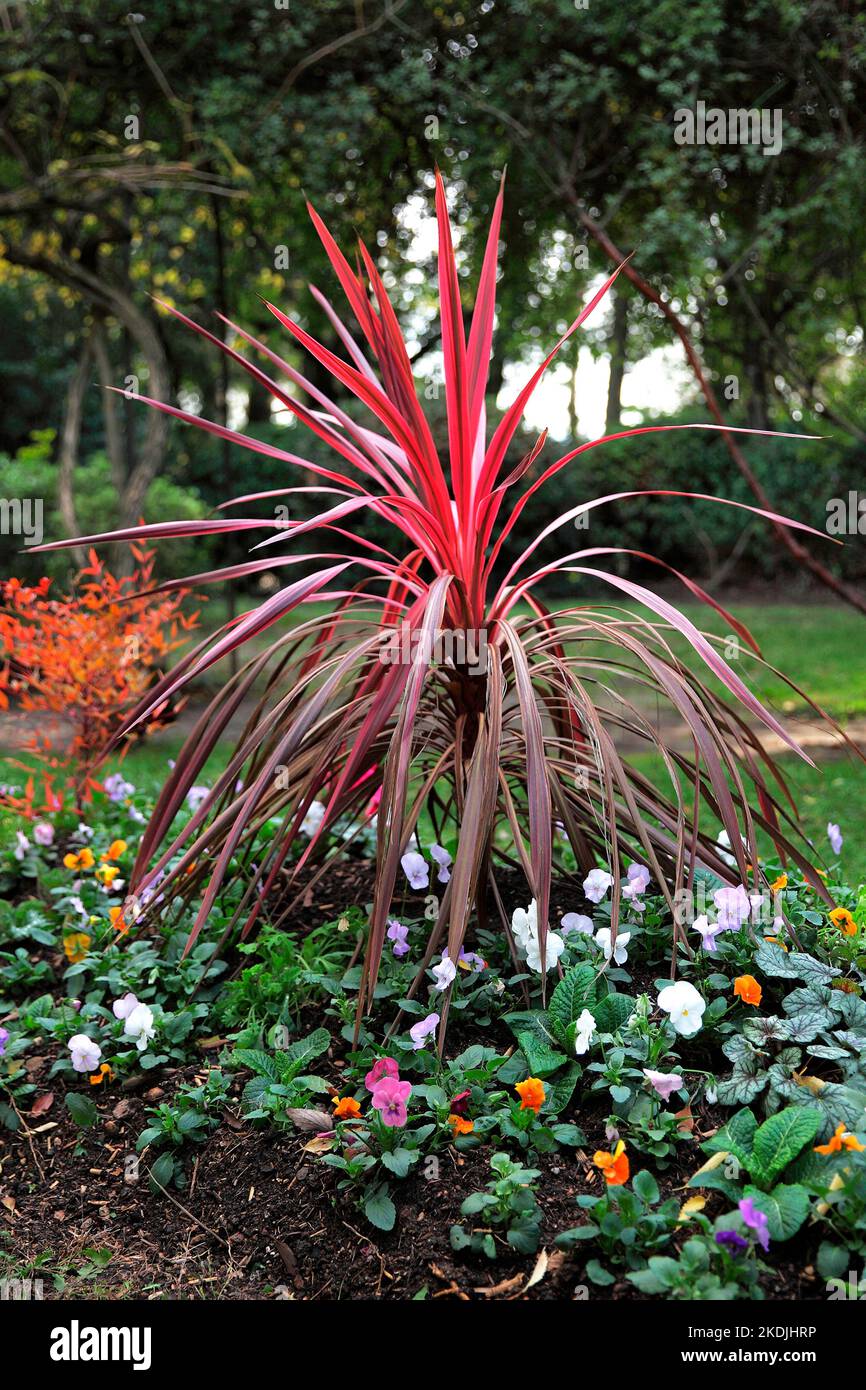 Red purple flower combination hi-res stock photography and images - Alamy