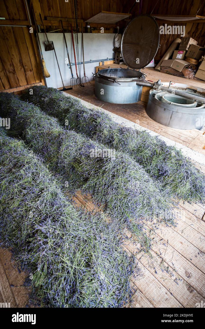 Distillations hi-res stock photography and images - Alamy