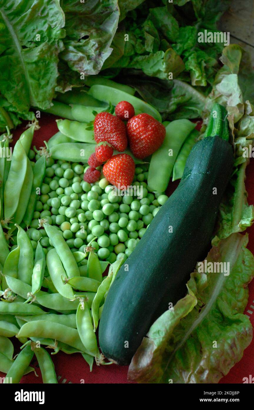 Fruits and vegetables from the vegetable garden, harvest of Strawberry ...