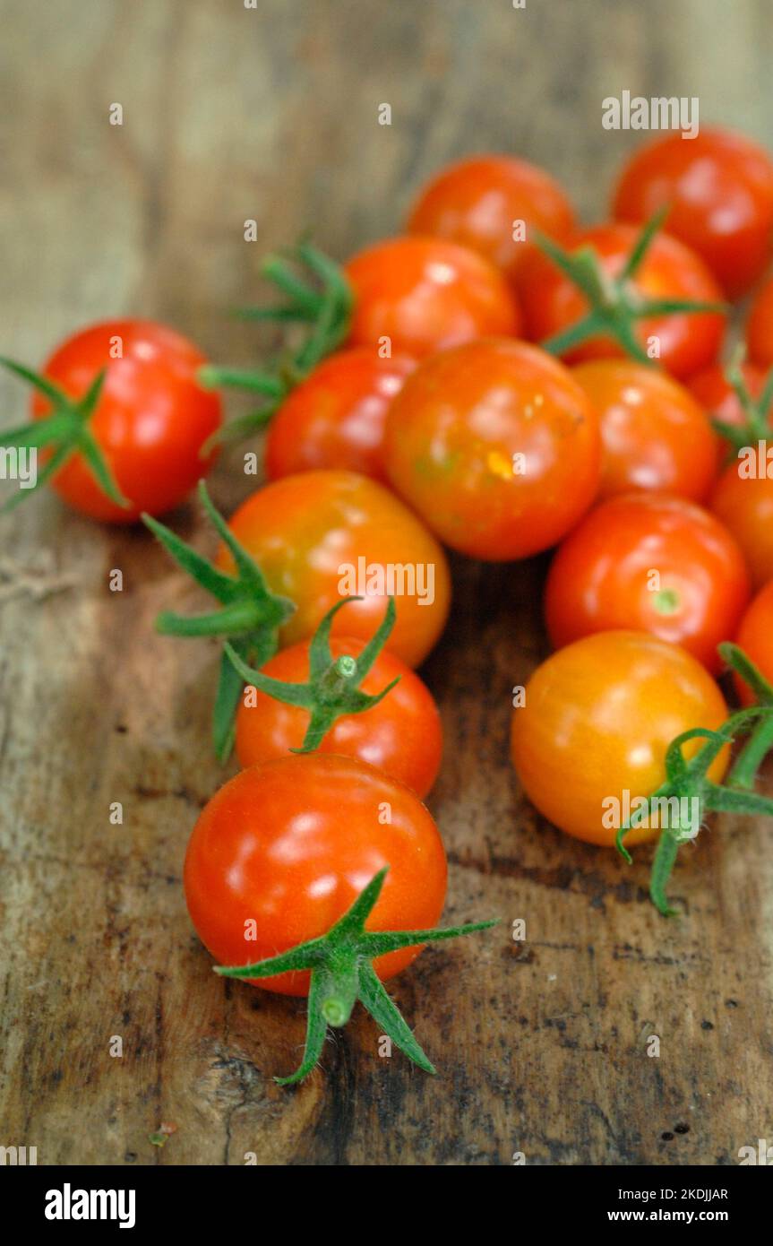 Individual cherry tomato hi-res stock photography and images - Alamy