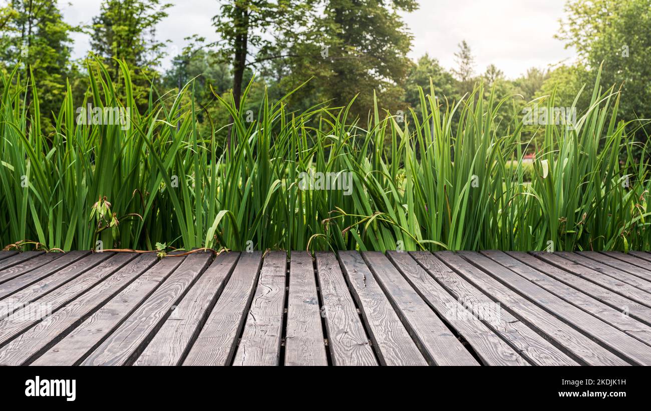 terrace made of wooden boards against the background of beautiful park ...