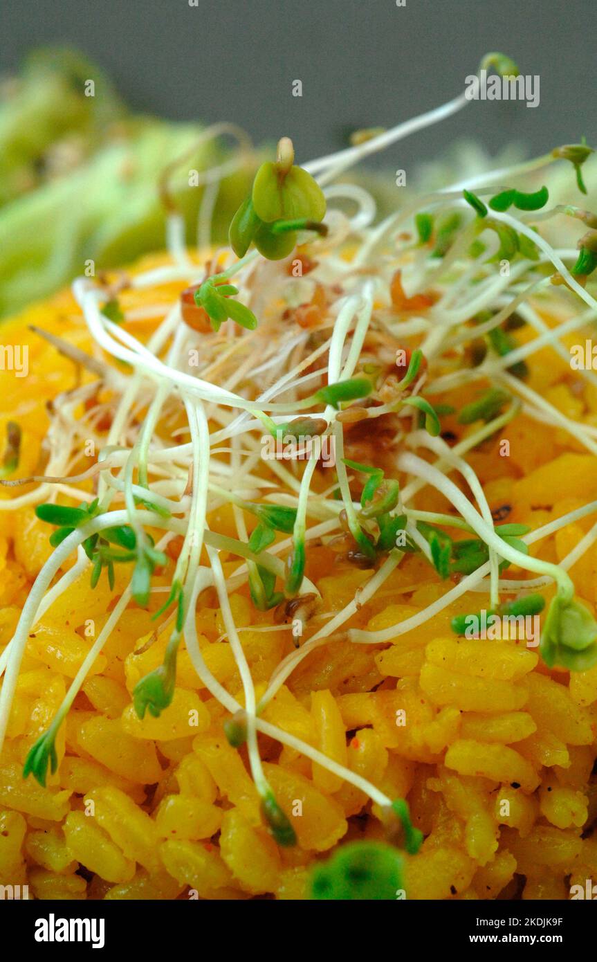 Sprouted seeds on a spicy saffron rice dish Stock Photo - Alamy