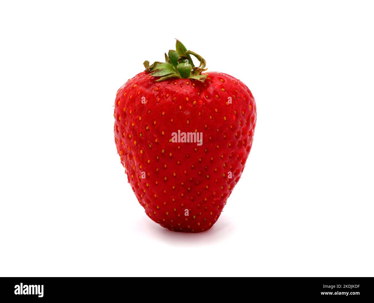 Morphology strawberry hi-res stock photography and images - Alamy
