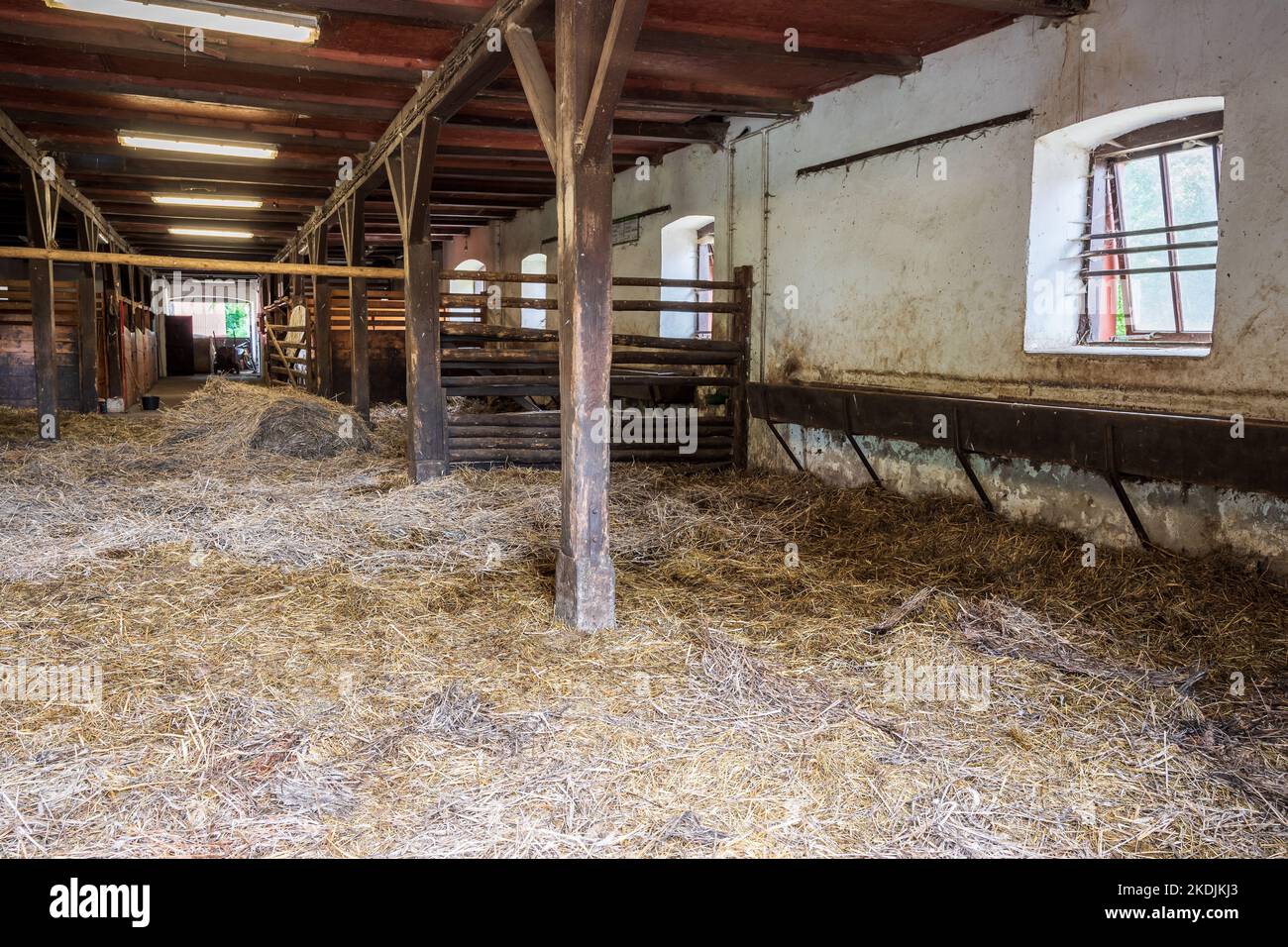 Interior of stable in horse breeding in Florianka, Zwierzyniec ...