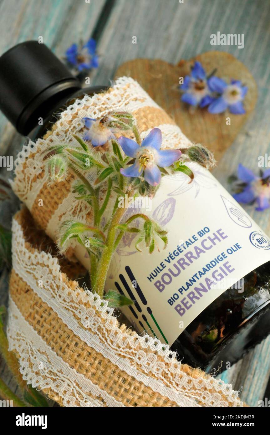 Borage oil - blue flowered plant with depurative and diuretic ...