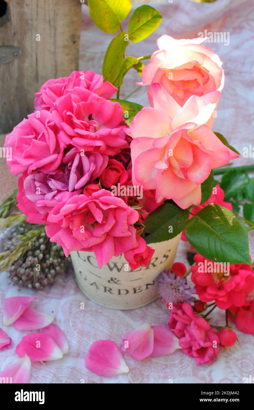 Bouquets of roses. Emera roses and other varieties in bouquets, petals ...