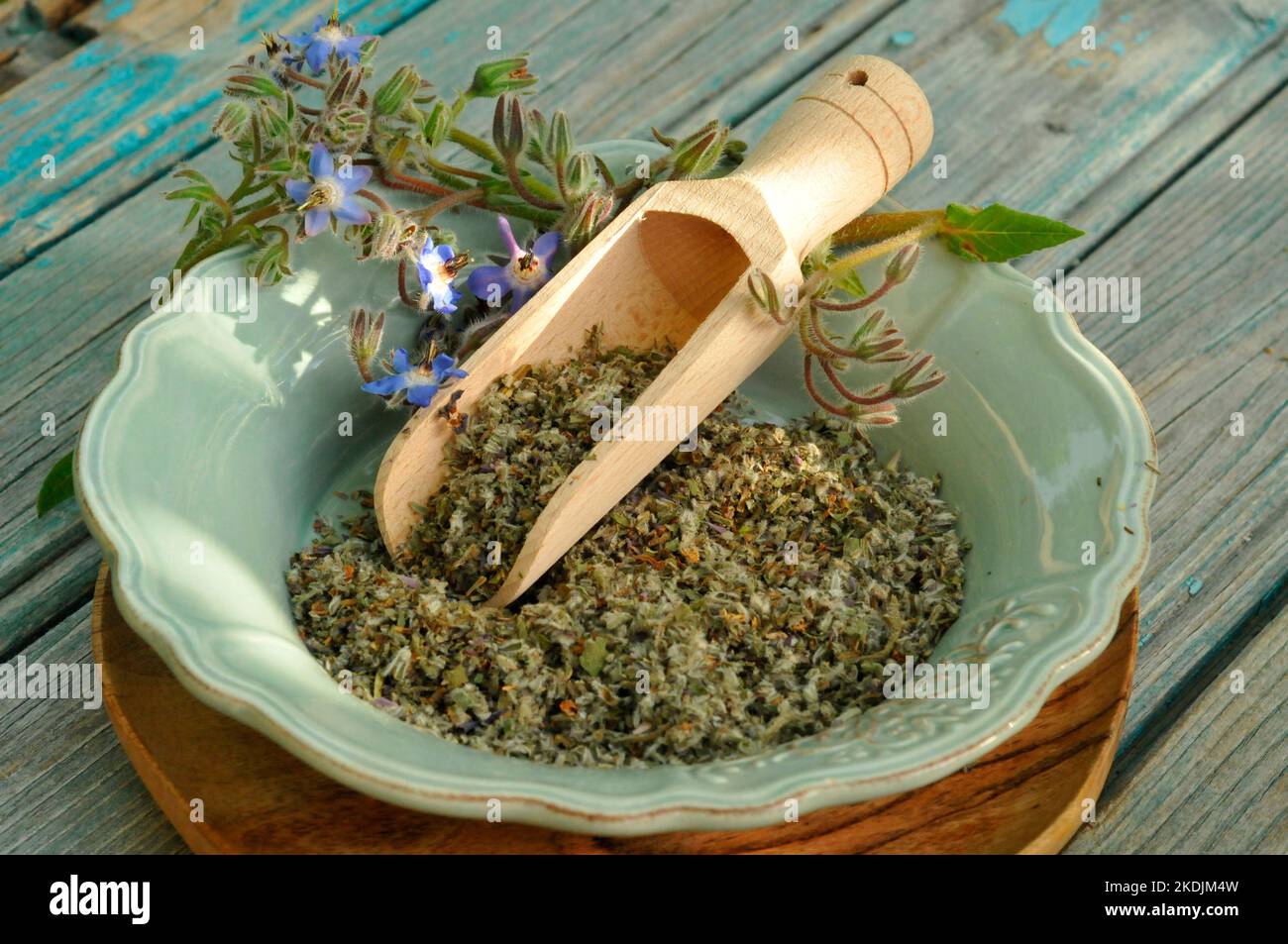Borage officinale. blue flowered plant dried in a blue plate, wooden ...