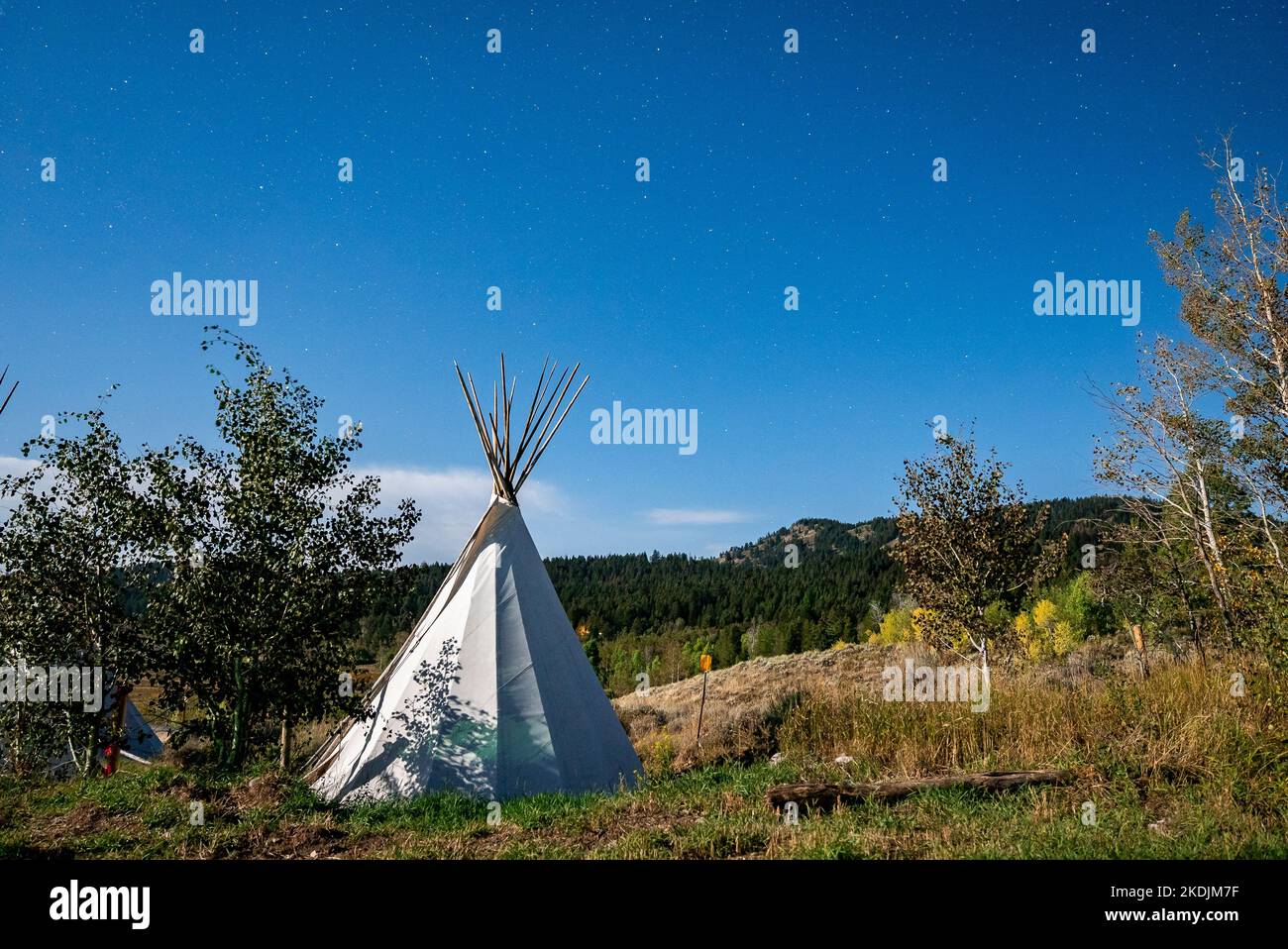 Teepees amidst trees on grassy field with blue sky in background during ...