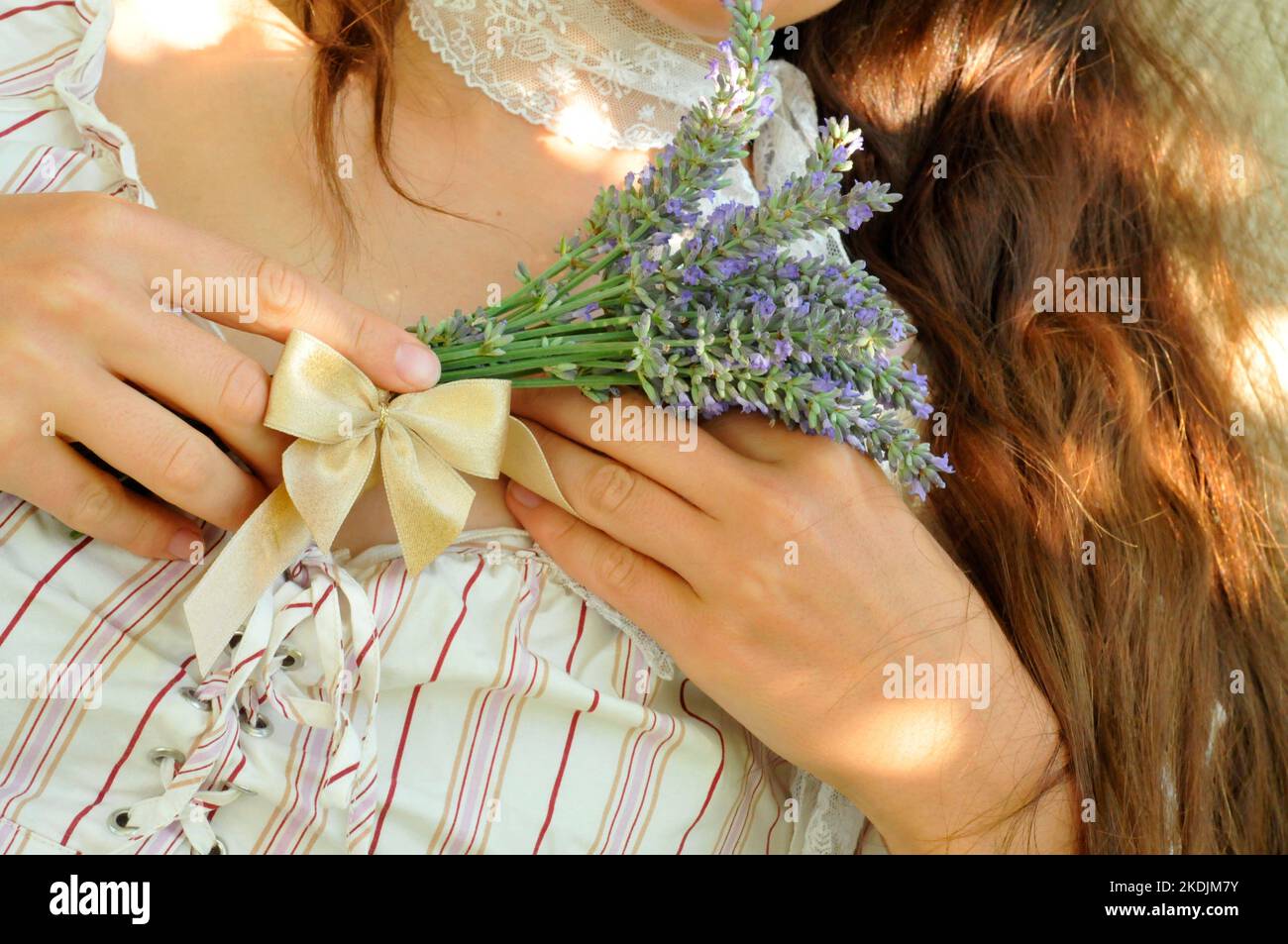 Bunch of lavender (Lavandula sp) in bloom on a woman at rest in a ...