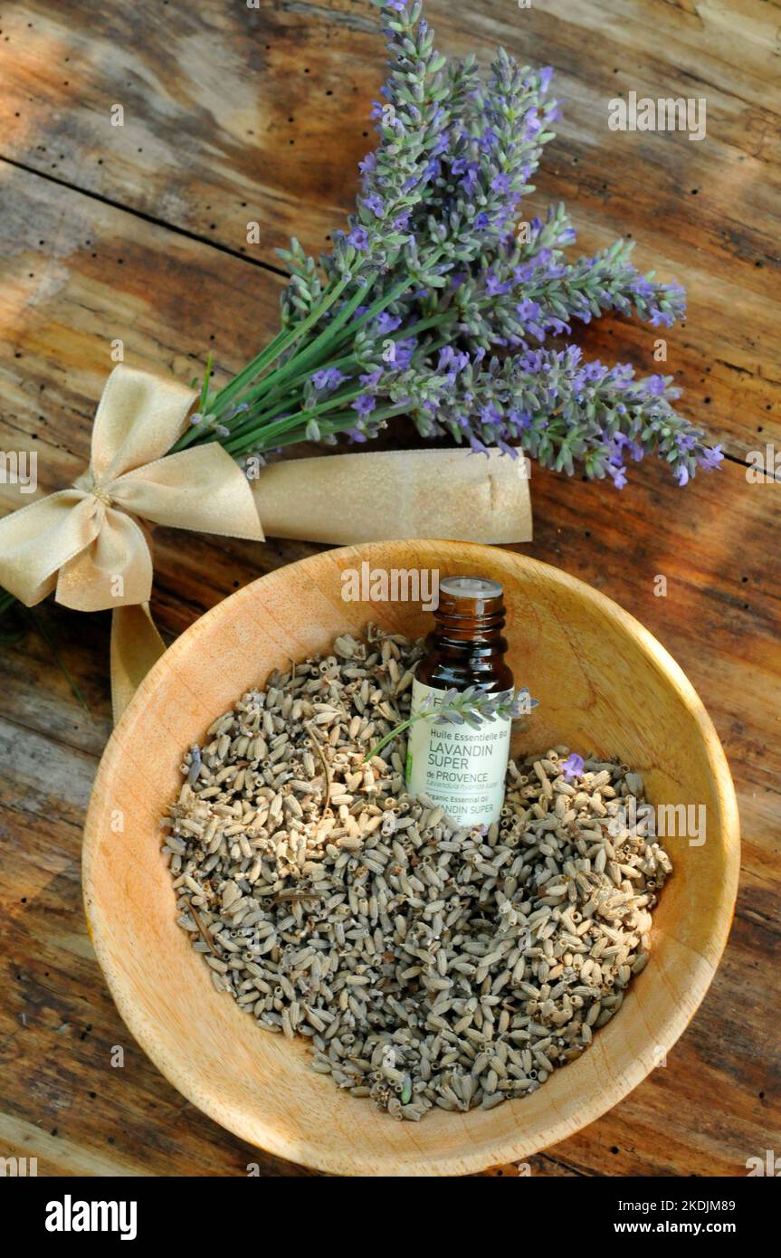 Lavender (Lavandula sp), flower bouquet, dried flowers and essential ...