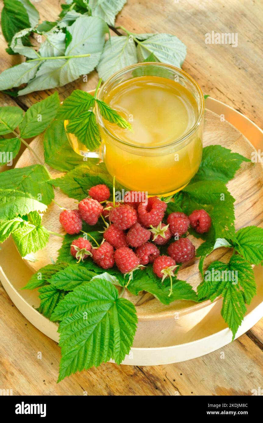 Infusion with Raspberry leaves and freshly picked Raspberries, health ...