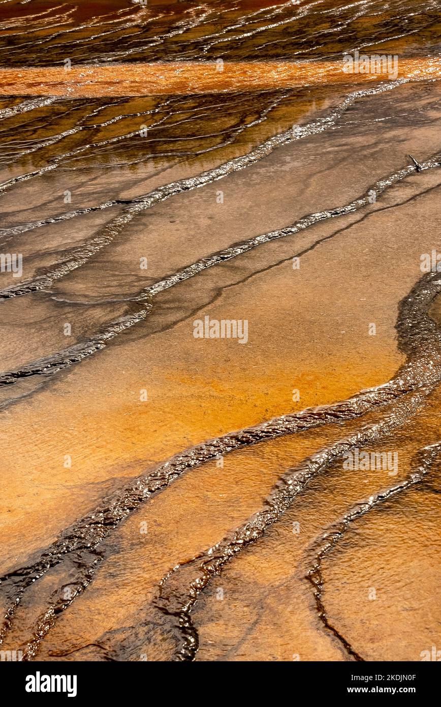 Close-up of geothermal landscape at Grand Prismatic Spring at ...