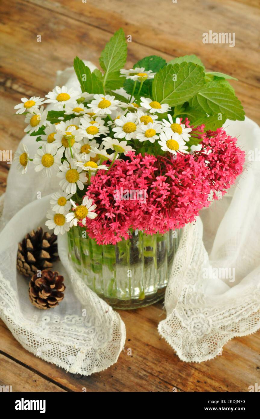 Red valerian flowers, Feverfew flowers and Common balm (Melissa ...