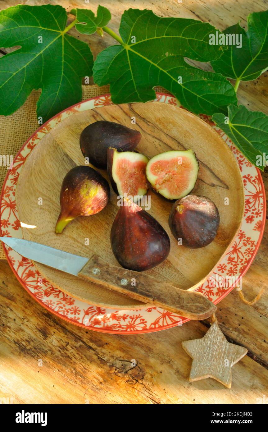 Black figs, (Ficus carica) on a wooden plate, fig leaves as decoration ...