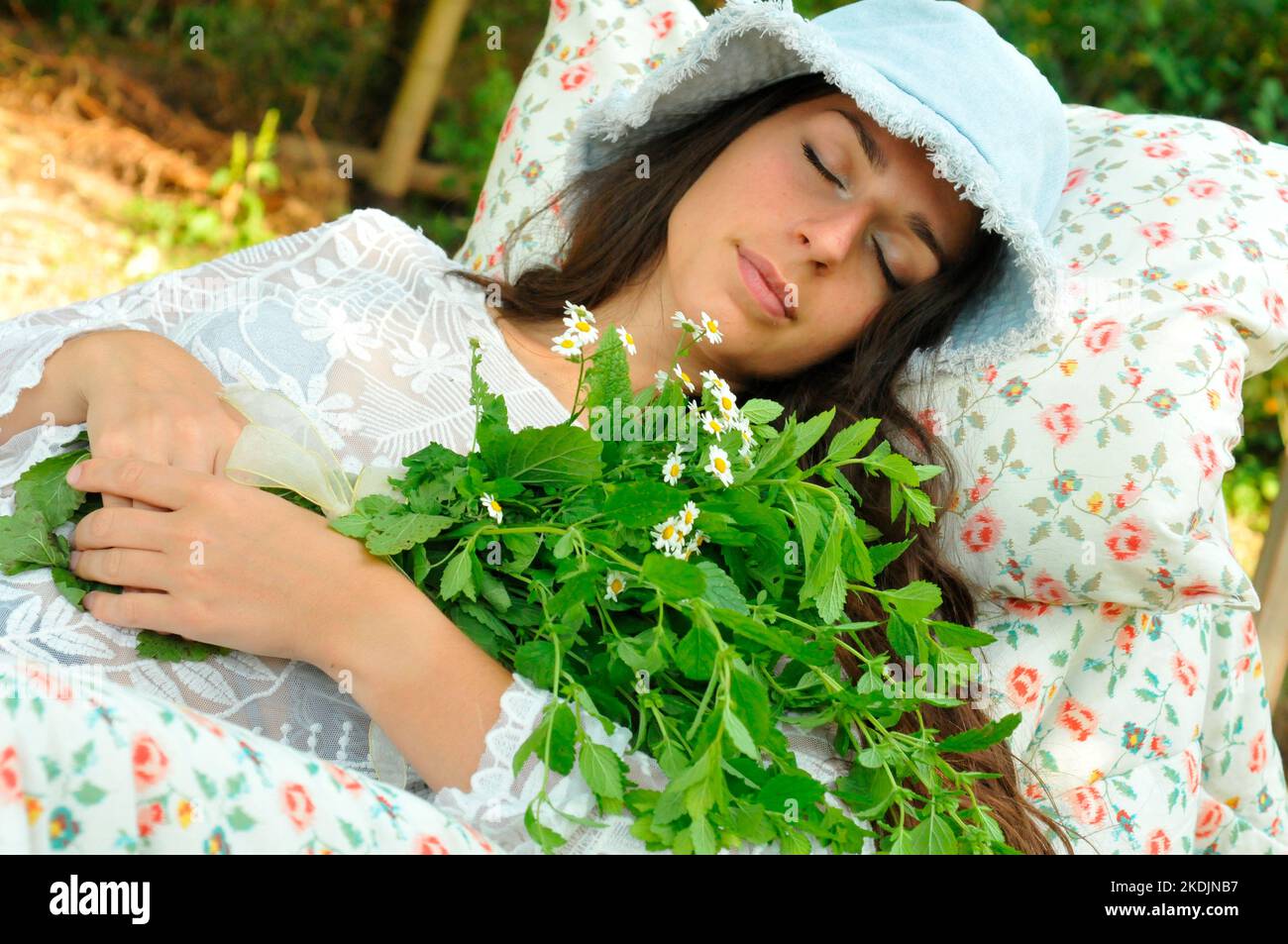 Bunch of Melissa and feverfew (Tanacetum parthenium), plants that ...
