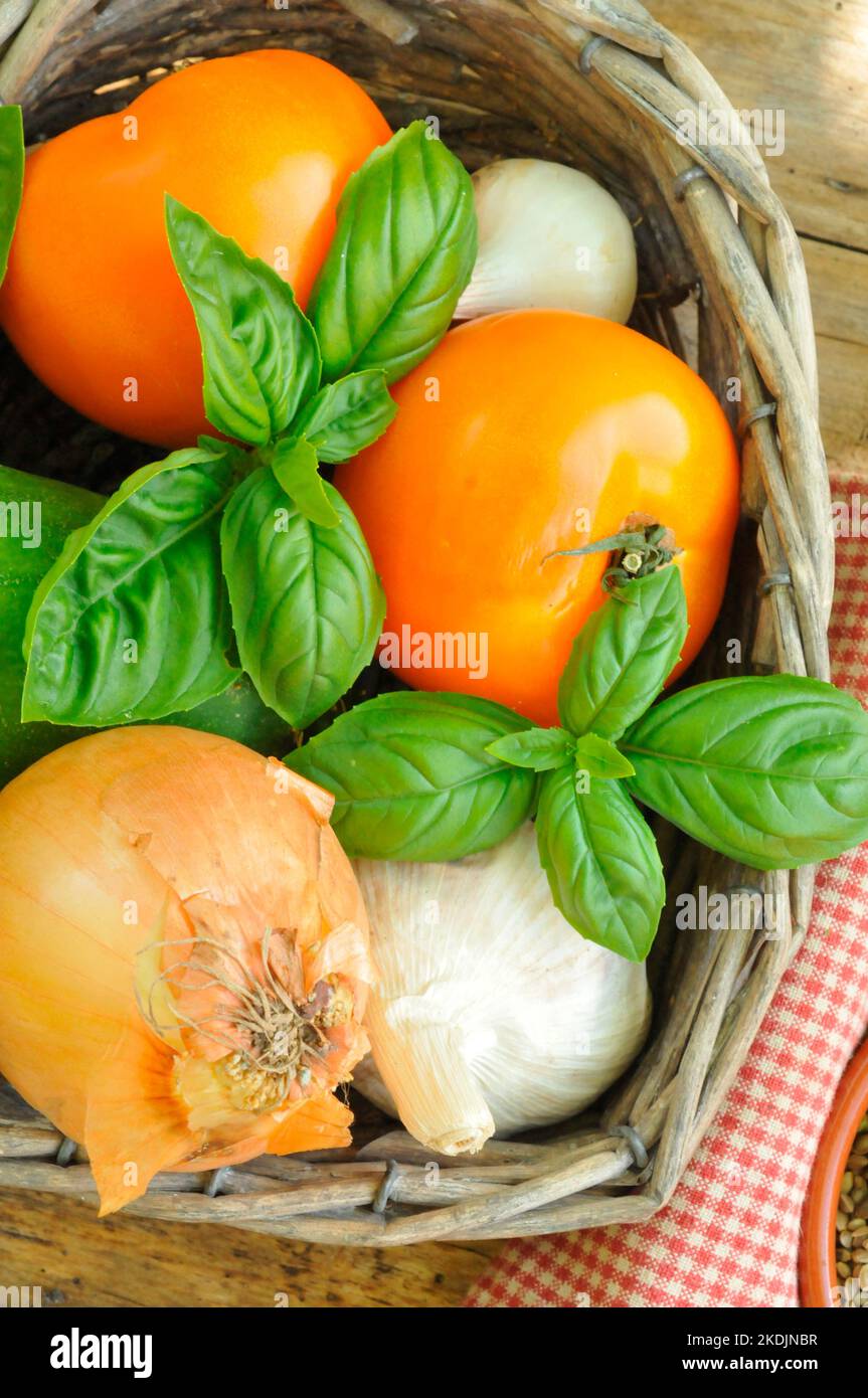 Summer basket with Basil (Ocimum basilicum), Yellow and white onion ...