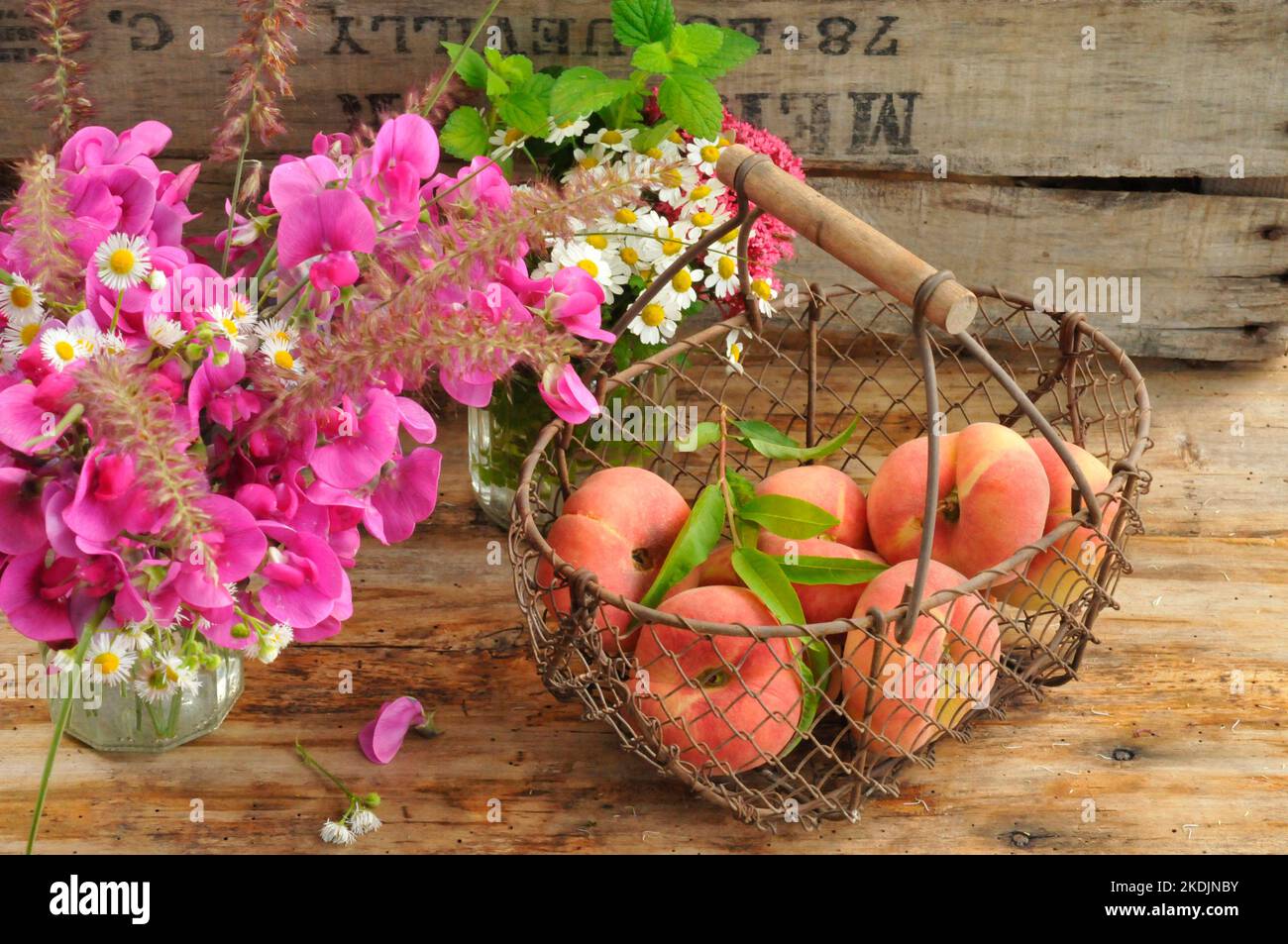 Flat peaches in an iron basket, Sweet pea (Lathyrus odoratus) and white ...