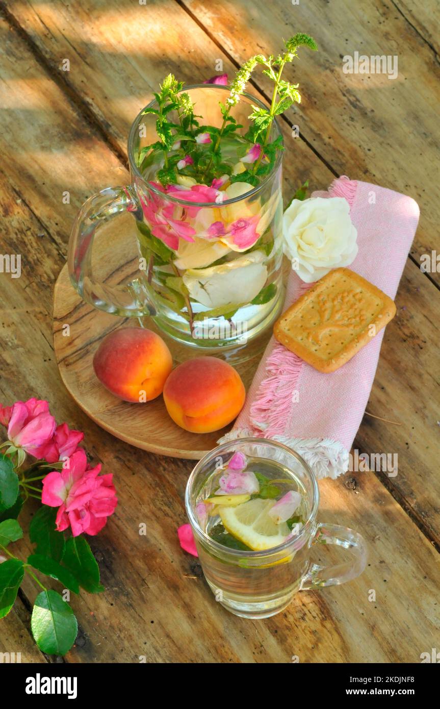 Refreshing mint drink (Mentha spicata) in a carafe with rose petals ...