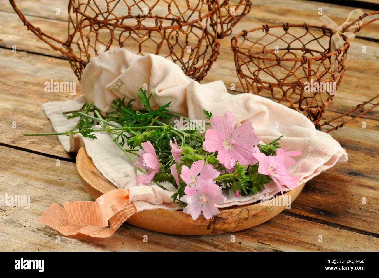 Musk mallow (Malva moschata) flowers, wild edible plant, benefits ...