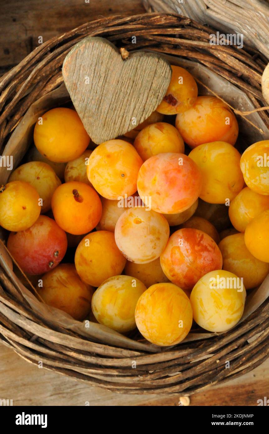 Mirabelles hi-res stock photography and images - Alamy