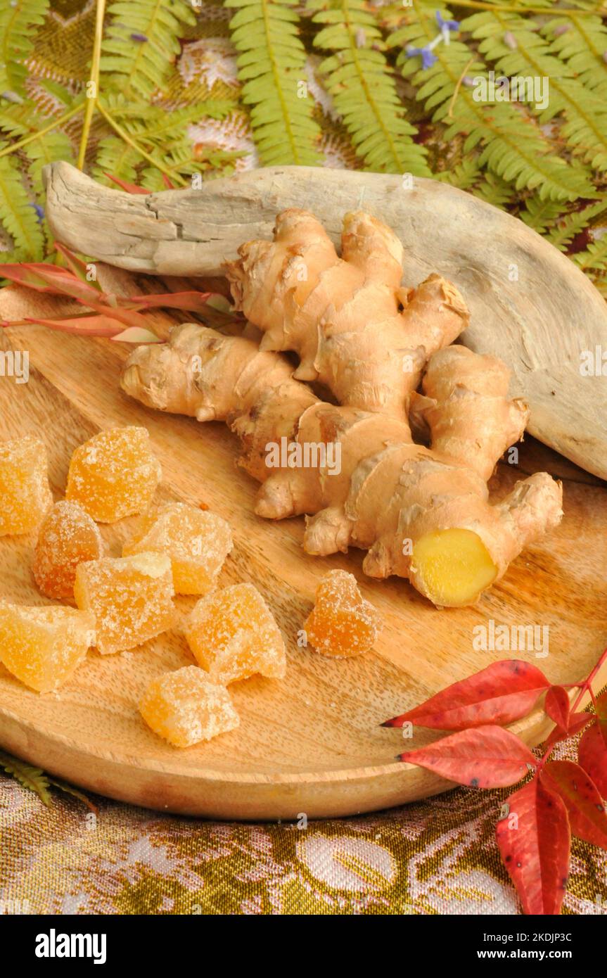 Ginger rhizome (Zingiber officinale) and candied fruit in a wooden ...