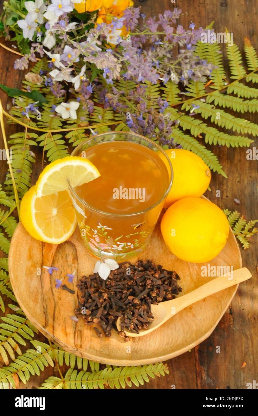 Cloves (Syzygium aromaticum), clove and lemon (Citrus limon) infusion ...