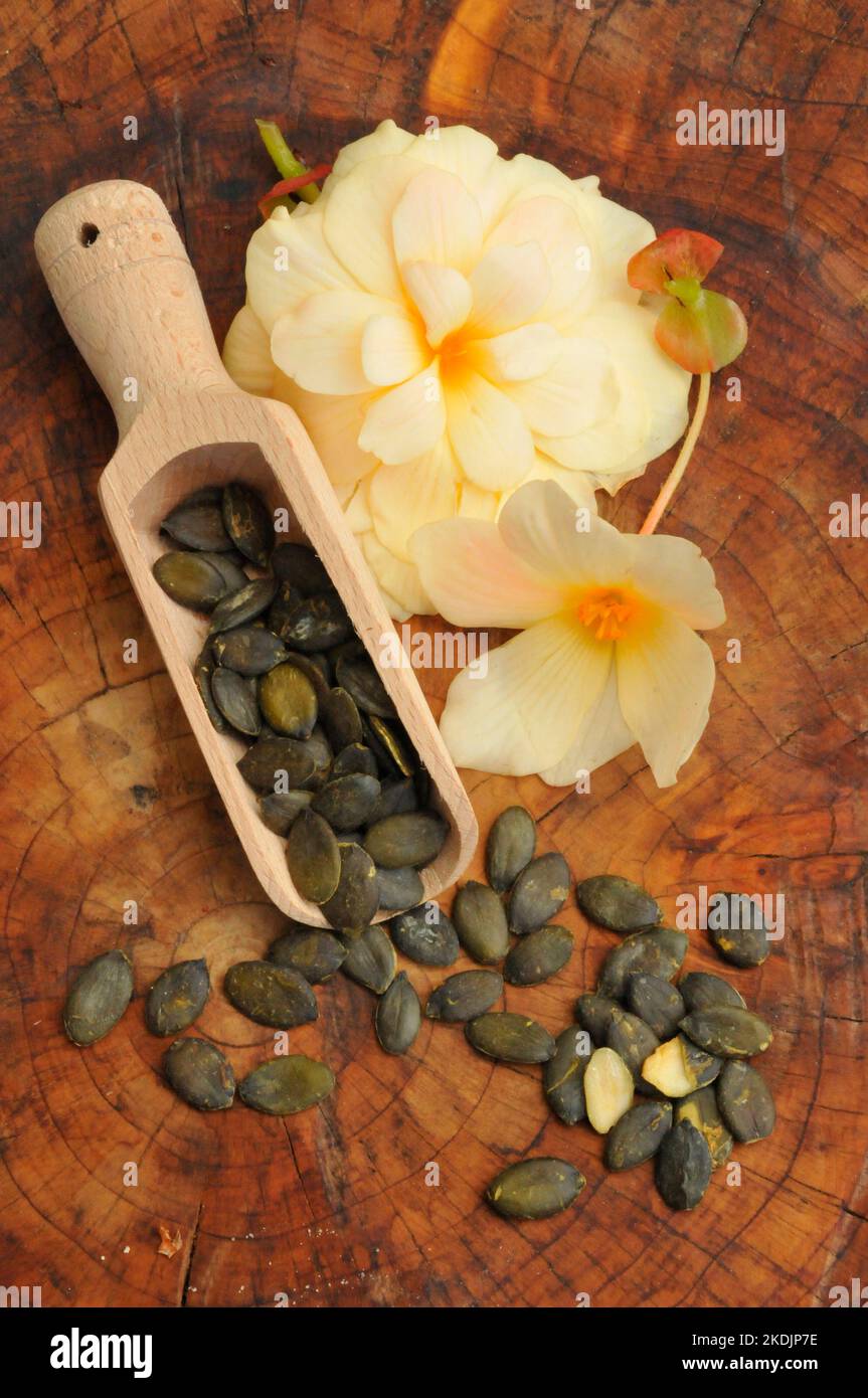 Pumpkin seeds (Cucurbita pepo), used in cooking their benefits Stock ...