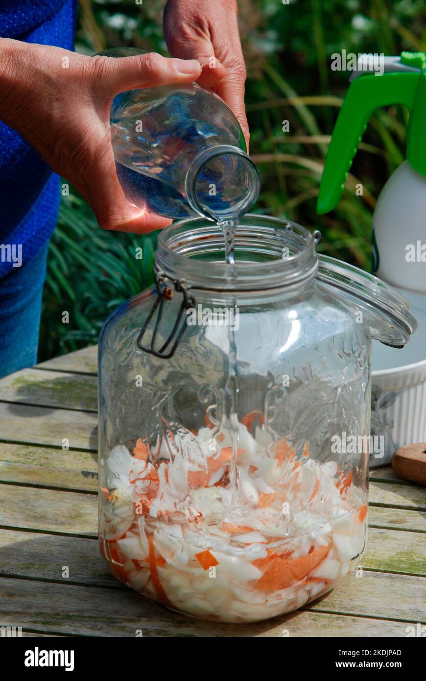 Onion cold maceration, natural insecticide Stock Photo - Alamy