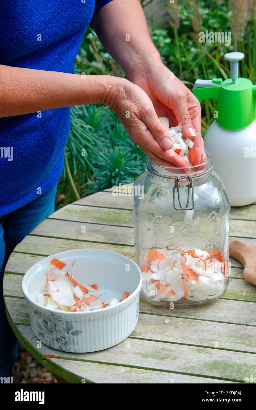 Onion cold maceration, natural insecticide Stock Photo - Alamy