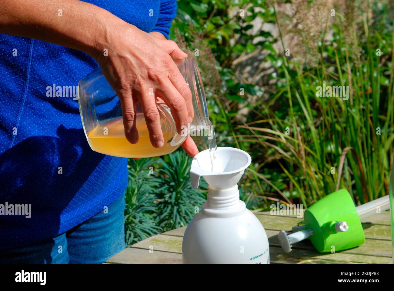Onion cold maceration, natural insecticide Stock Photo - Alamy
