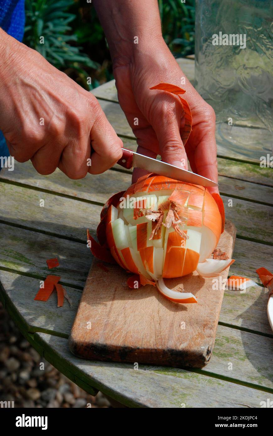 Onion cold maceration, natural insecticide Stock Photo - Alamy