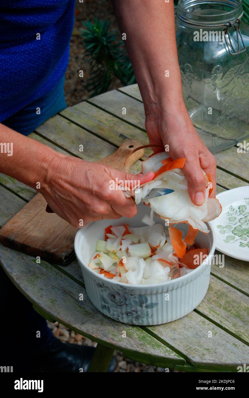 Onion cold maceration, natural insecticide Stock Photo - Alamy