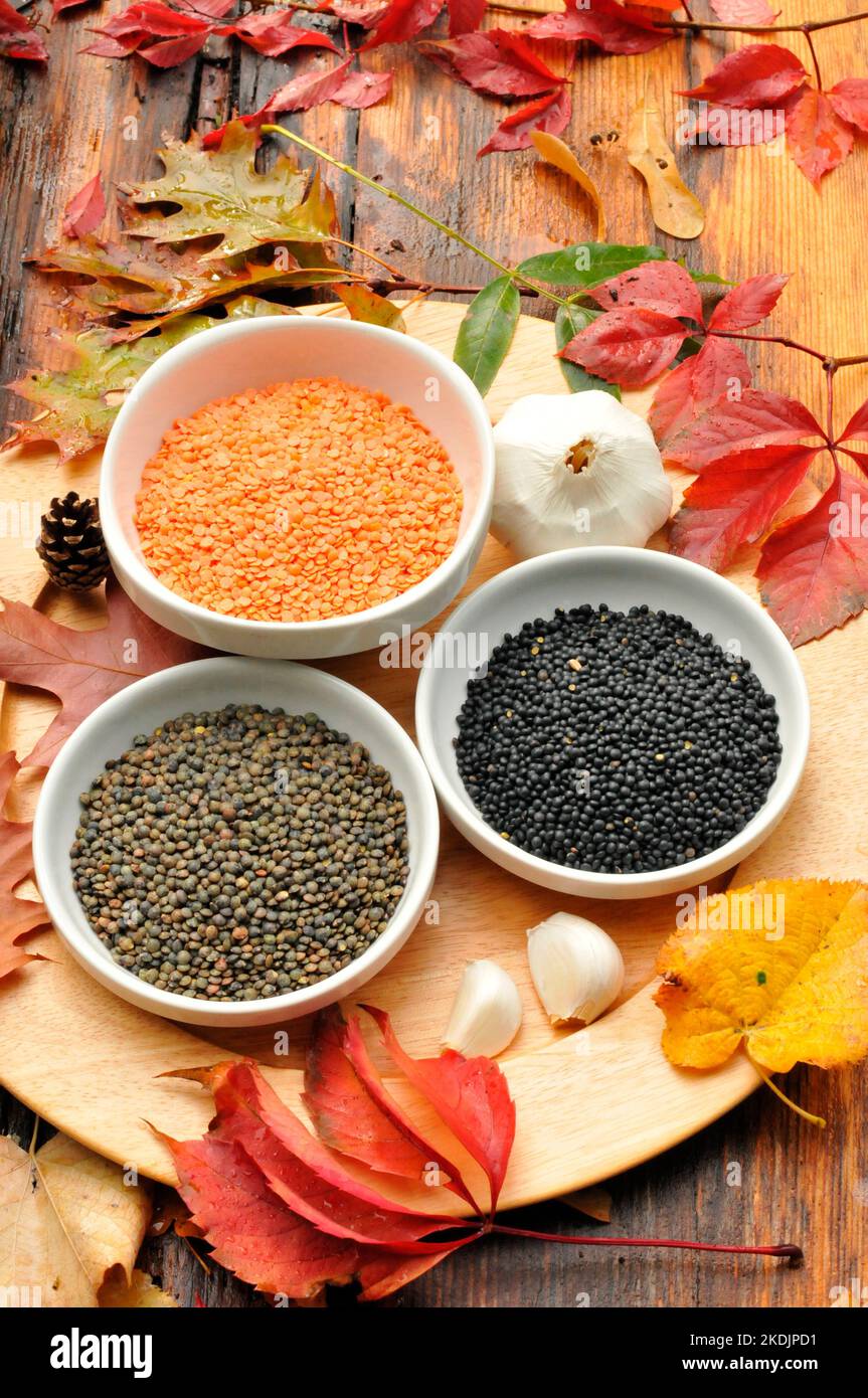 Different varieties of lentils, Lens culinaris, Coral lentils, Beluga ...