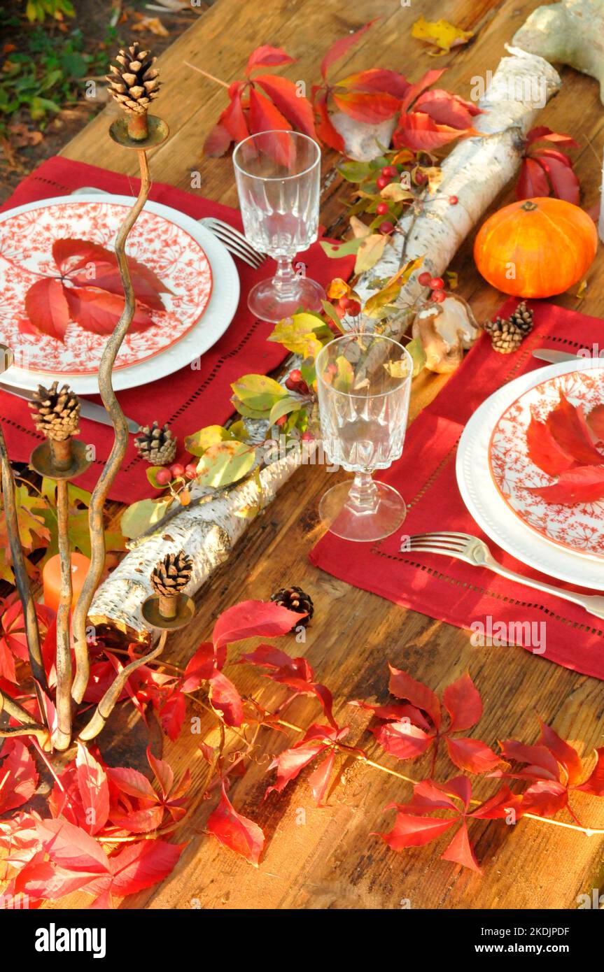 Table set with green and red leaves, Pumpkin (Cucurbita maxima) and ...
