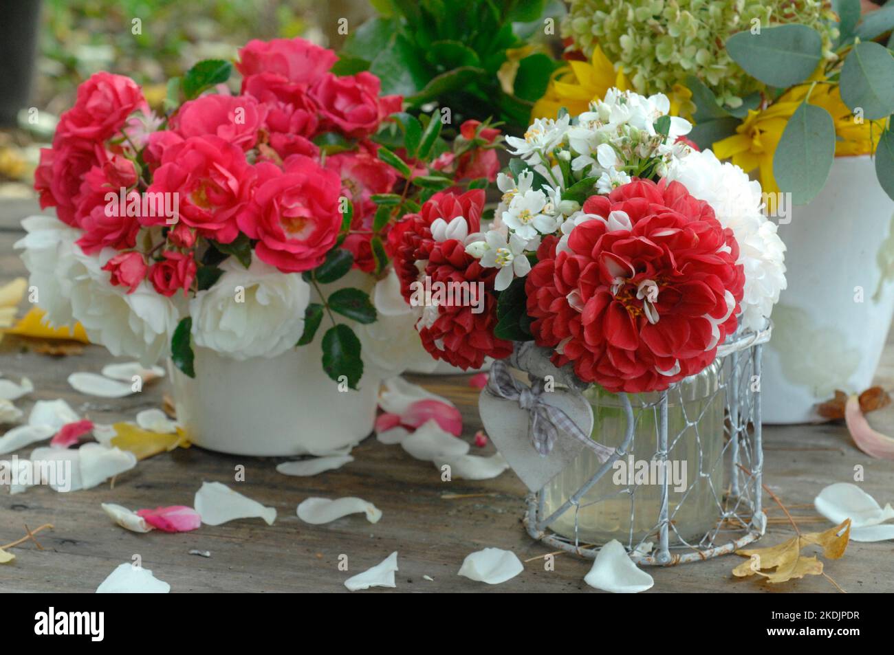 Bouquet of Dahlias and Mexican orange blossom (Choisya ternata) and ...