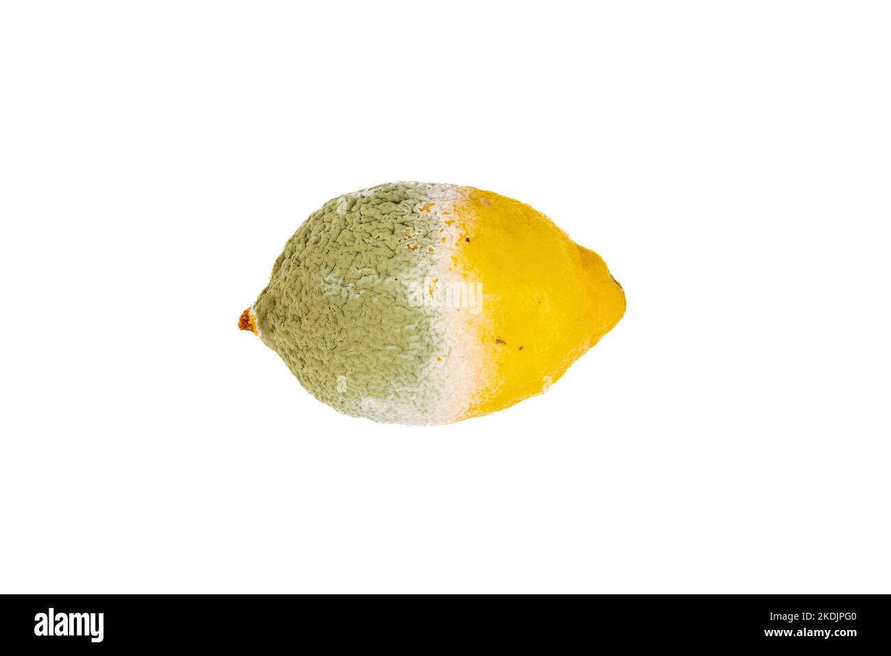 Decaying lemon on white background Stock Photo - Alamy