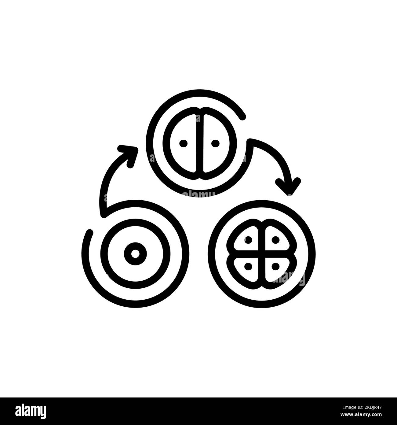 Cell division black line icon. Fertilization Stock Vector Image & Art ... Cell division black line icon. Fertilization Stock Vector Image & Art ...