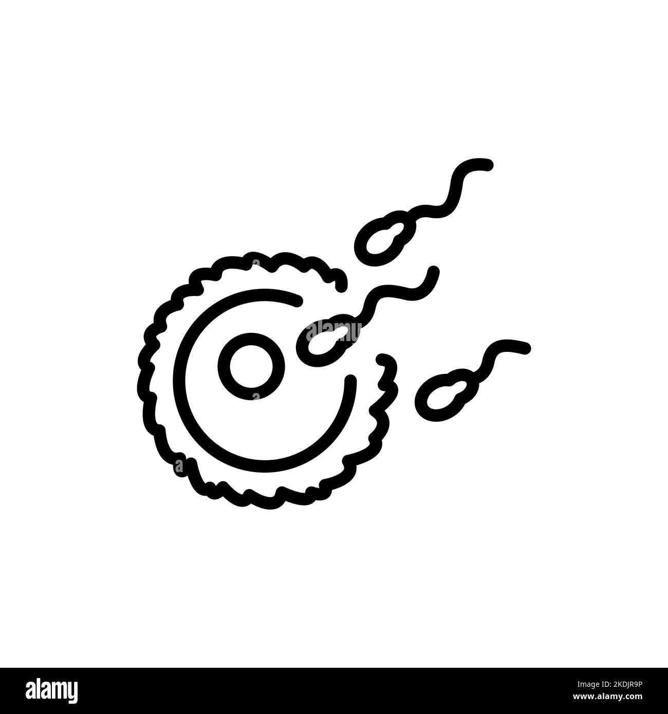 Ovum fertilization black line icon. Fertilization Stock Vector Image ... Ovum fertilization black line icon. Fertilization Stock Vector Image ...