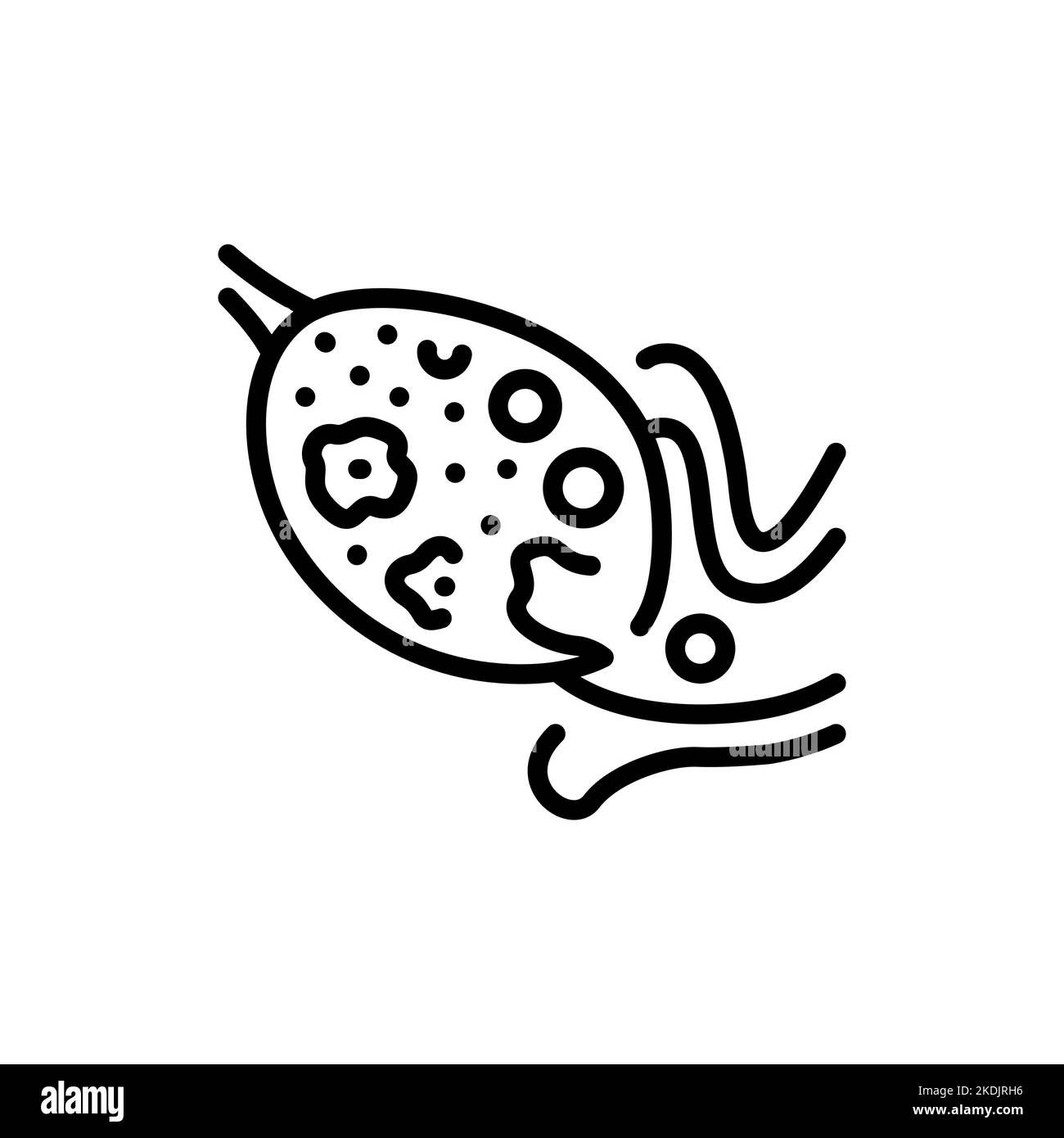 Line drawing anatomy hi-res stock photography and images - Alamy