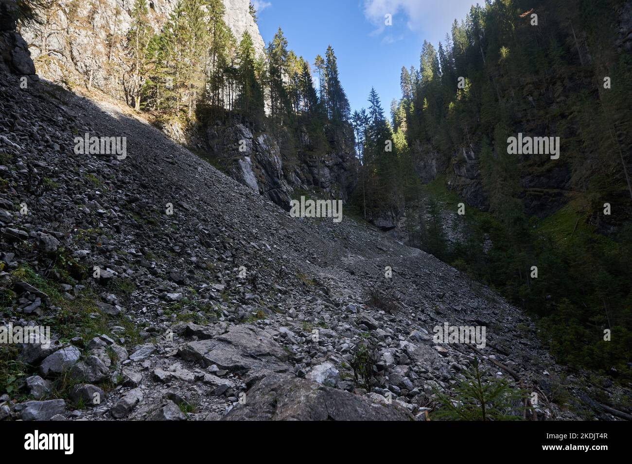 Landscape with pine forests covering limestone mountains Stock Photo ...
