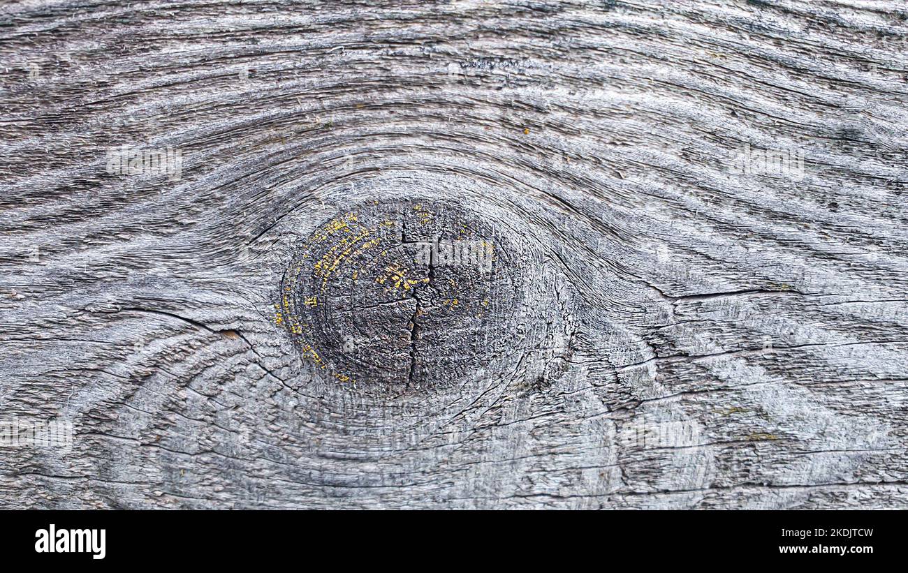 Wooden surface in the country. Boards for fence and construction. brown ...