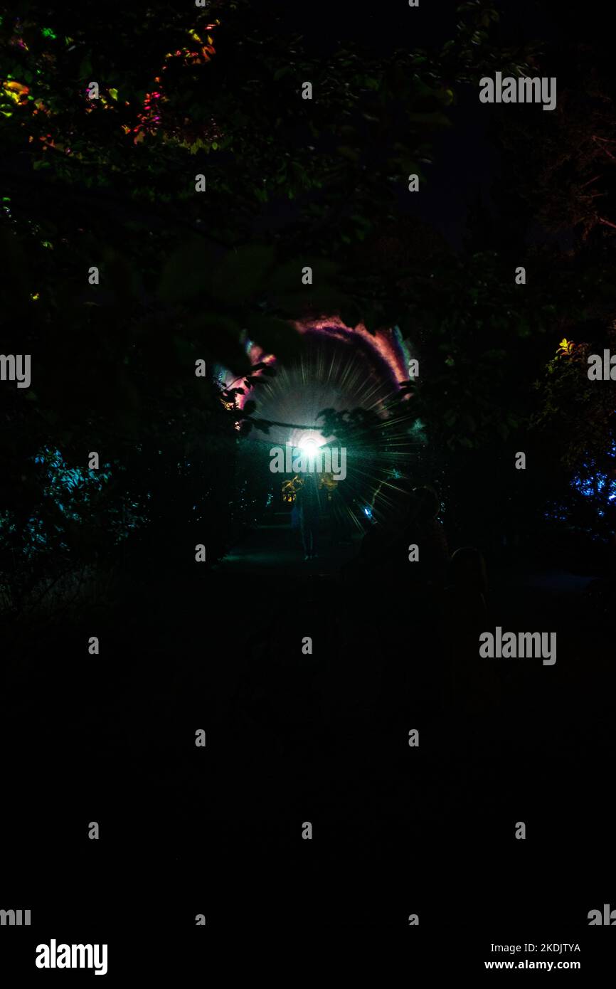 Neon light arch painting a forest with rainbow arch on a colourful dark ...