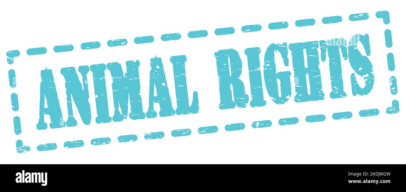 ANIMAL RIGHTS text written on blue dash stamp sign Stock Photo - Alamy