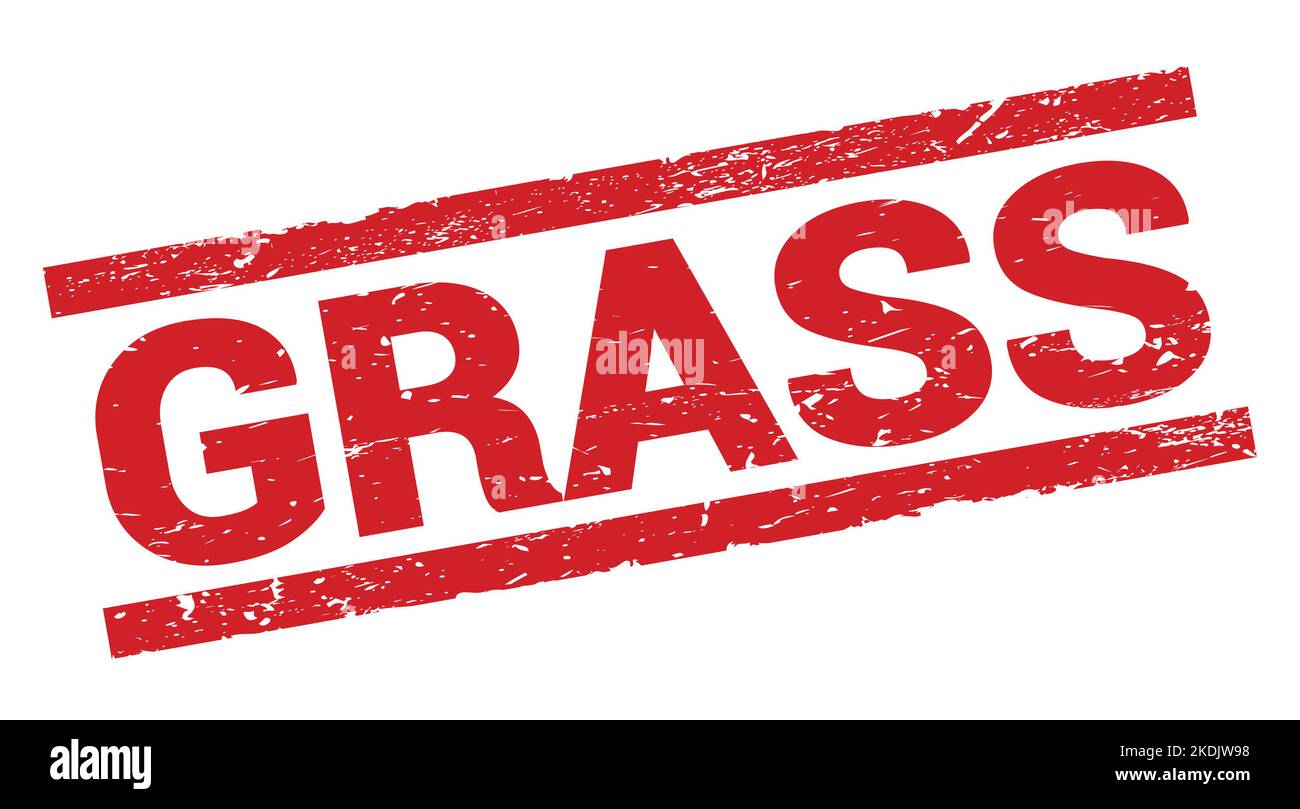 GRASS text written on red rectangle stamp sign Stock Photo - Alamy